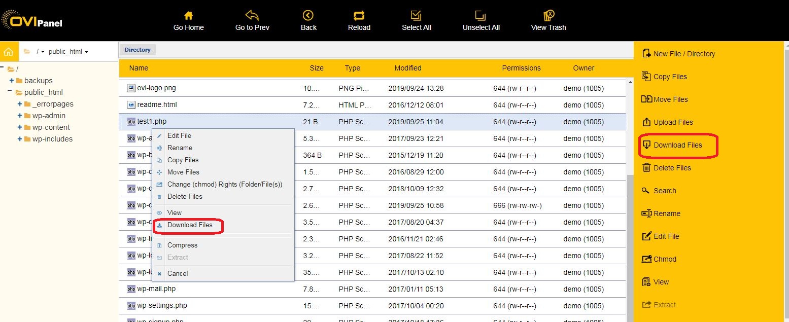 How to use Upload, download and delete option in the file manager in my ...